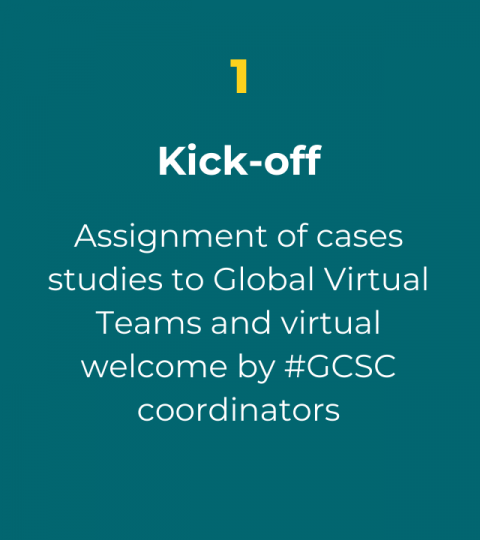 Student Challenge - Global Case Study Challenge